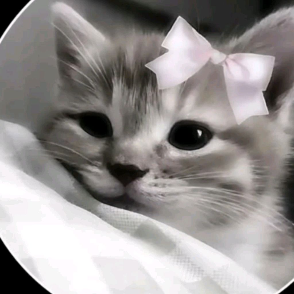 Иконка канала —🤍MiSs_MiLa_rbx🍁
