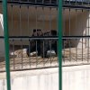 Иконка канала Быть при деле.
