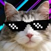 Иконка канала SIGMA CAT