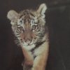 Иконка канала Unity_Legion