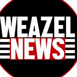 Иконка канала Weazel News