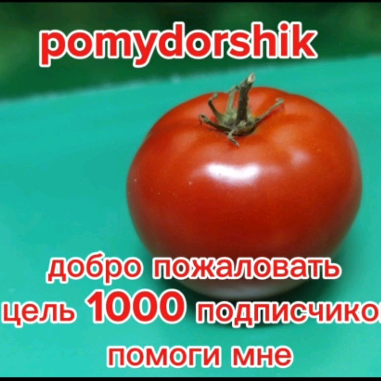 Иконка канала Pomydorshik