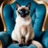 Иконка канала Кот