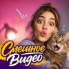 Иконка канала Смешное Видео