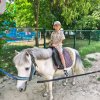 Иконка канала Dimplay