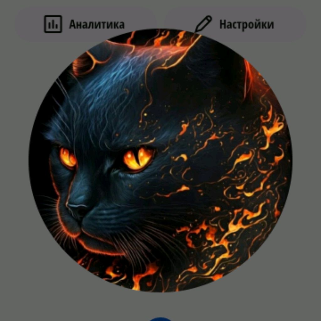 Иконка канала BlackCat