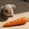 Иконка канала #Polik