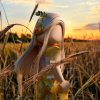 Иконка канала Больница Для Животных
