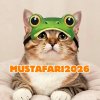 Иконка канала MUSTAFARI2026