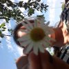 Иконка канала channel77402801