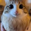 Иконка канала Geme Nil