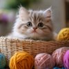 Иконка канала Котофей В Реальном Мире