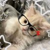 Иконка канала Перезаливы с Ютуба