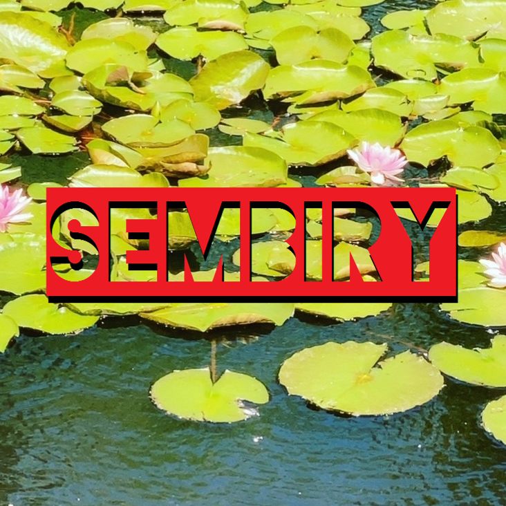 Иконка канала SEMBIRY