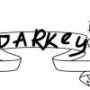 Иконка канала Darkey-g3u