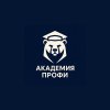 Иконка канала Академия Профи | Антон Батраков