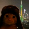 Иконка канала Gedguy253222