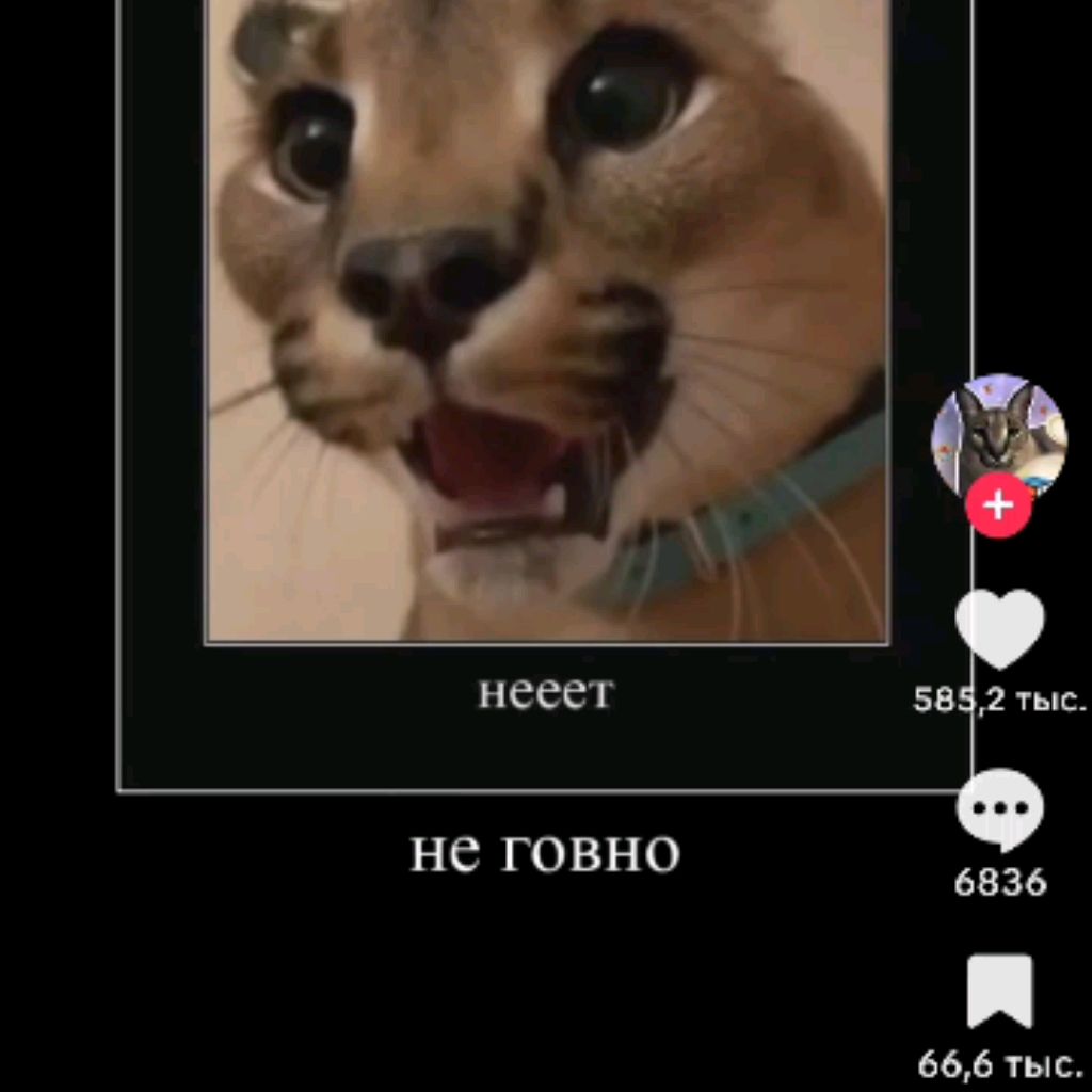 Иконка канала Шлёпа