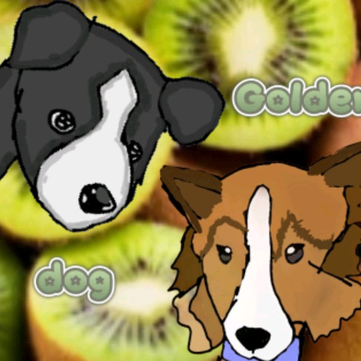 Иконка канала 🦪🐾•Golden~dog•🐾🦪