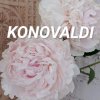 Иконка канала KONOVALDI