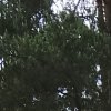 Иконка канала Миша и Федя про