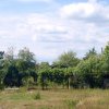 Иконка канала Жизнь Сергеевых: От стройки до стола