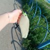 Иконка канала МистикТВ