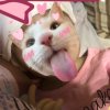 Иконка канала 🤍🎀^•My reborn’s baby•^🎀🤍