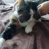 Иконка канала Тиша и Мотя