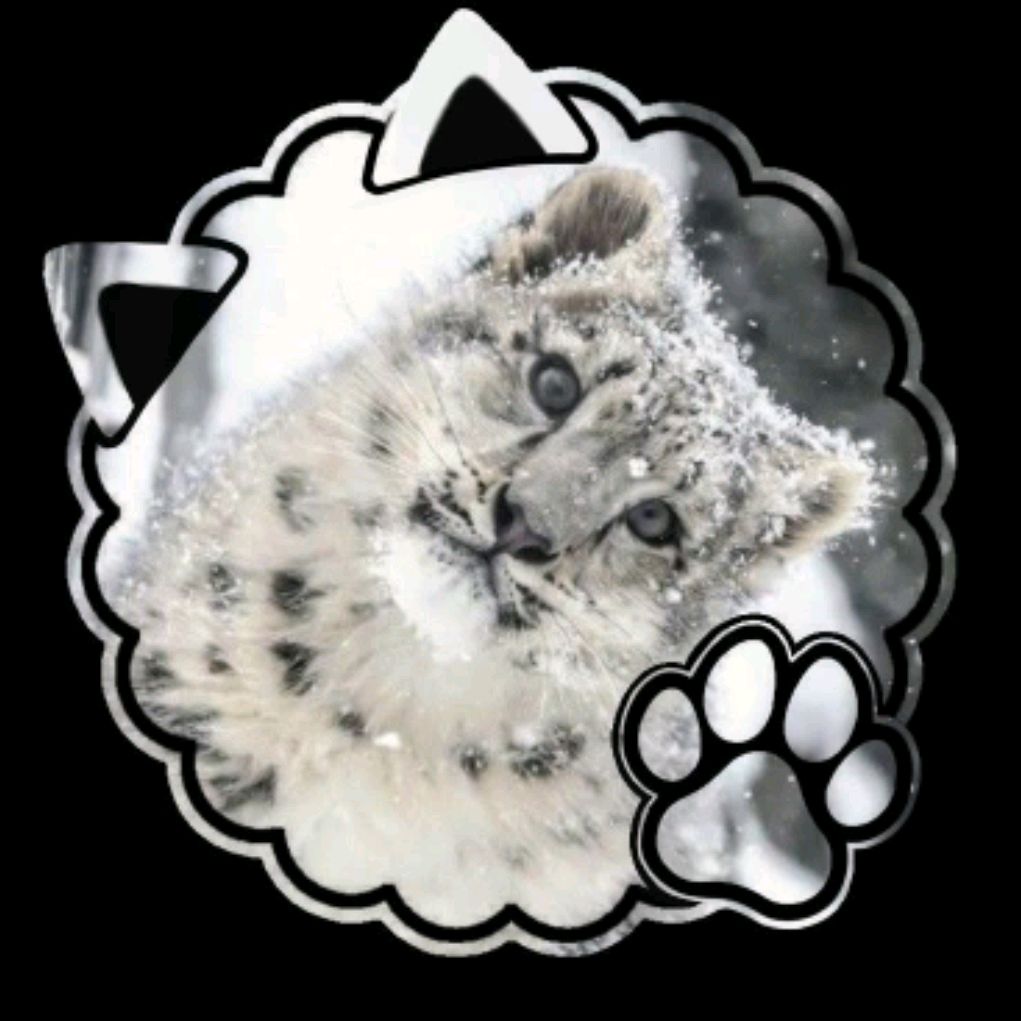 Иконка канала ~∆°snow Leopard°∆~