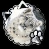 Иконка канала ~∆°snow Leopard°∆~
