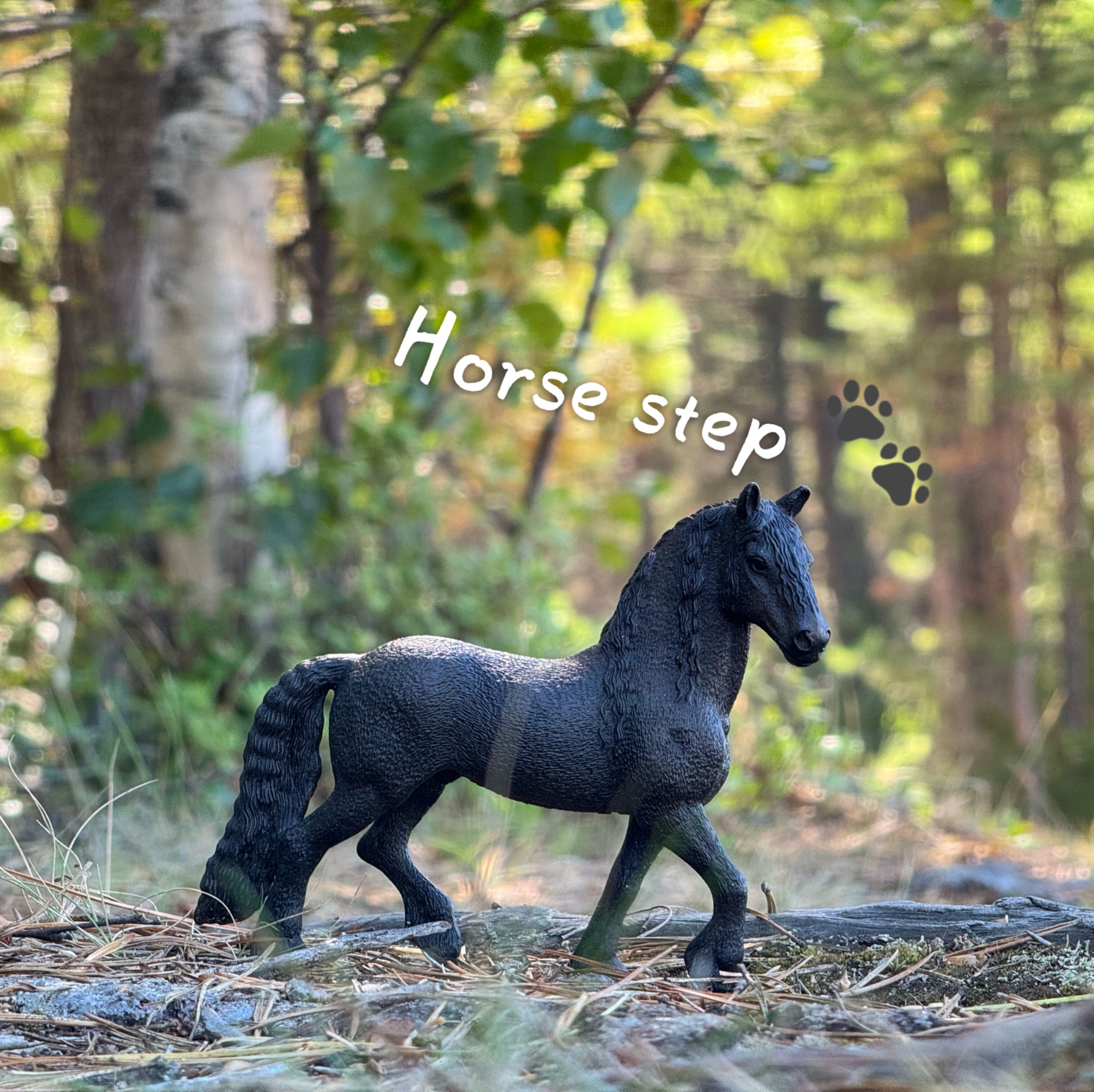 Иконка канала Horse Step 🌳⚪️