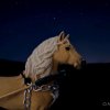 Иконка канала BEST OF HORSE ♡