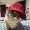 Иконка канала sinkwize