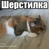 Иконка канала Московский Частный Канал