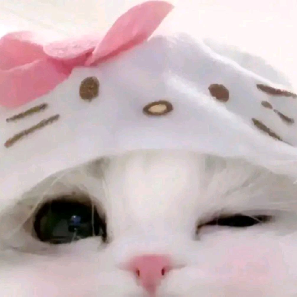 Иконка канала Кисики💗❤️🐱💘
