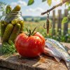 Иконка канала Чудо огород, мега рыбалка