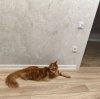 Иконка канала Варя