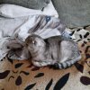 Иконка канала Майнкрафт и Роблокс