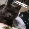 Иконка канала Ball_rutube_789
