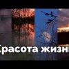 Иконка канала Красота Жизни /// Как Жить?