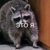 Иконка канала ЕНОТ3000