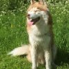 Иконка канала 🌿Fʟᴏᴡᴇʀ_Vᴀʟʟᴇʏ🪾~пдб~
