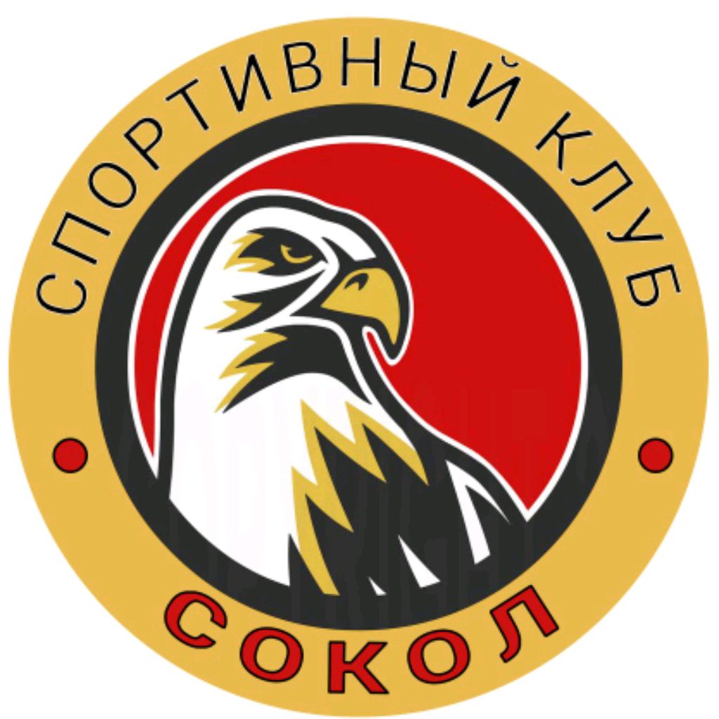 Иконка канала АНО СВПК "СОКОЛ"