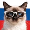 Иконка канала channel78546112