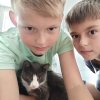 Иконка канала Kotikru