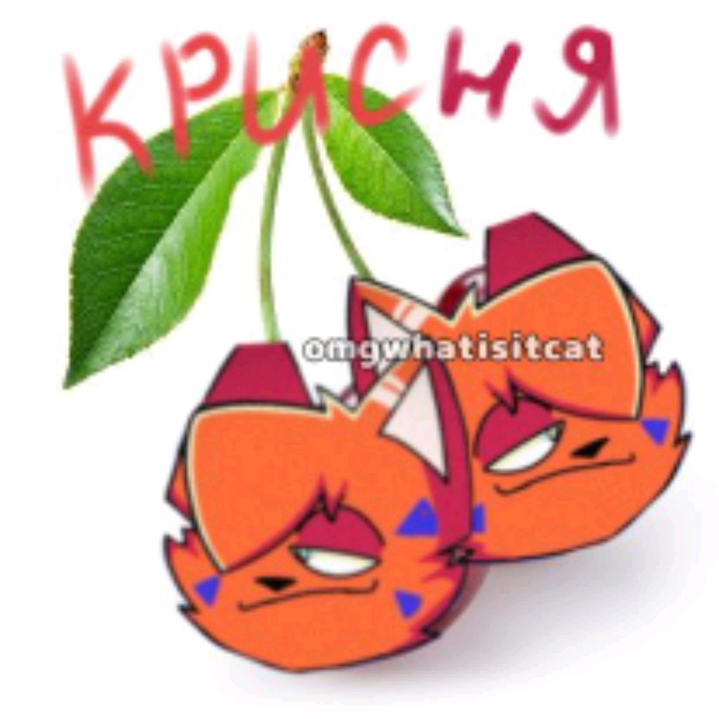 Иконка канала Фан Бискаса