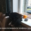 Иконка канала VBL