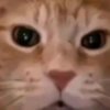 Иконка канала Mr Cat :3
