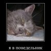 Иконка канала Тюлень